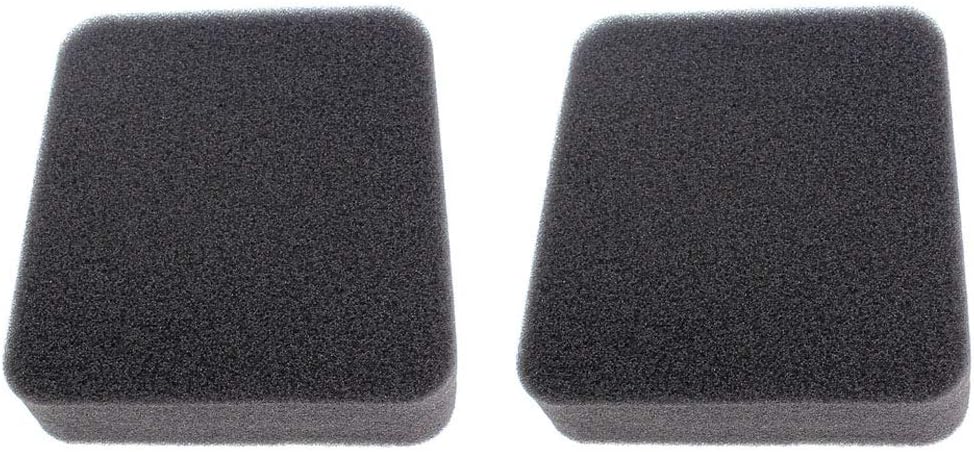 Amazon.com: 3004156 Air Filter for Earthquake 43CC Viper Engine E43 ...