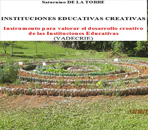 Amazon.com: Instituciones Educativas Creativas: Instrumento para ...