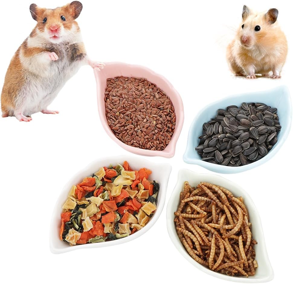 Amazon.com : 4 Pack Hamster Ceramic Food Bowl, Small Animals Chew ...