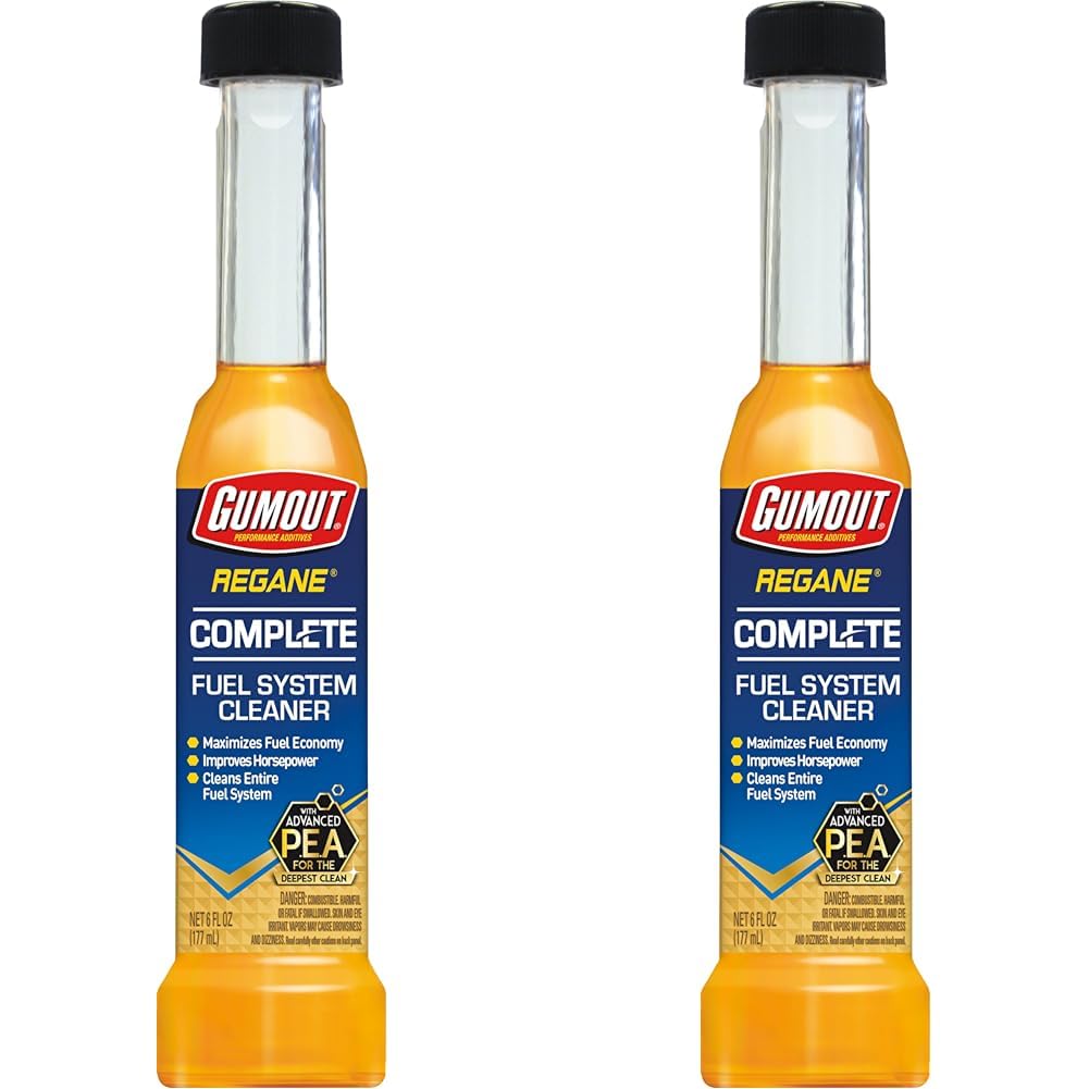 Snapklik.com : Gumout 510014 Regane Complete Fuel System Cleaner, 6 Oz
