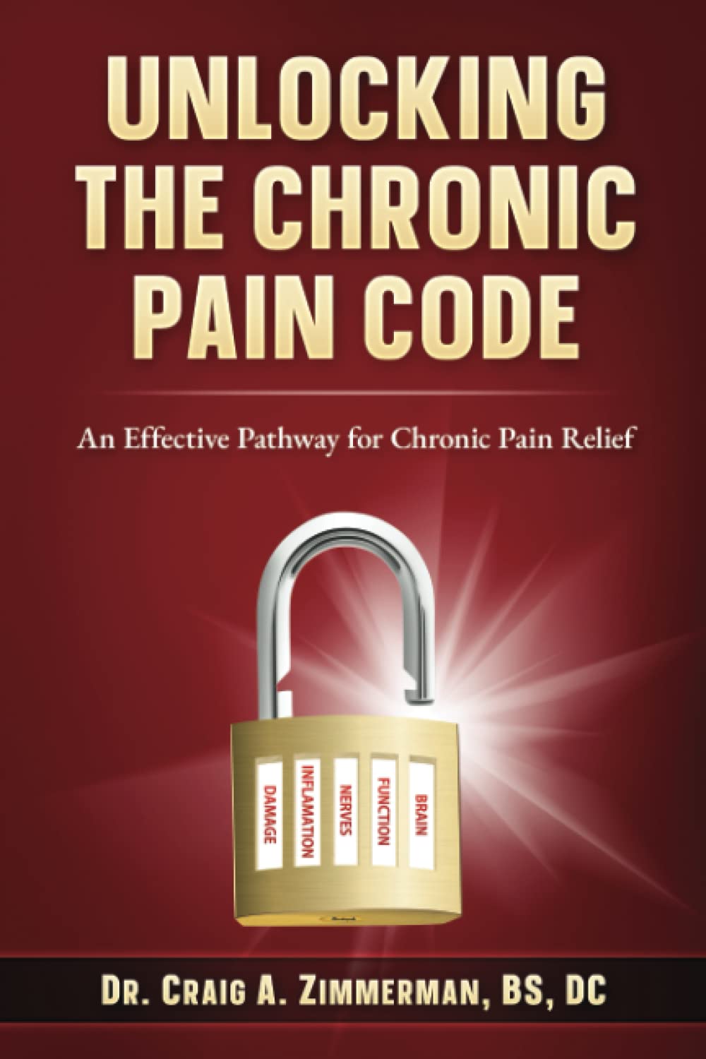 Unlocking the Chronic Pain Code: An Effective Pathway for Chronic Pain ...