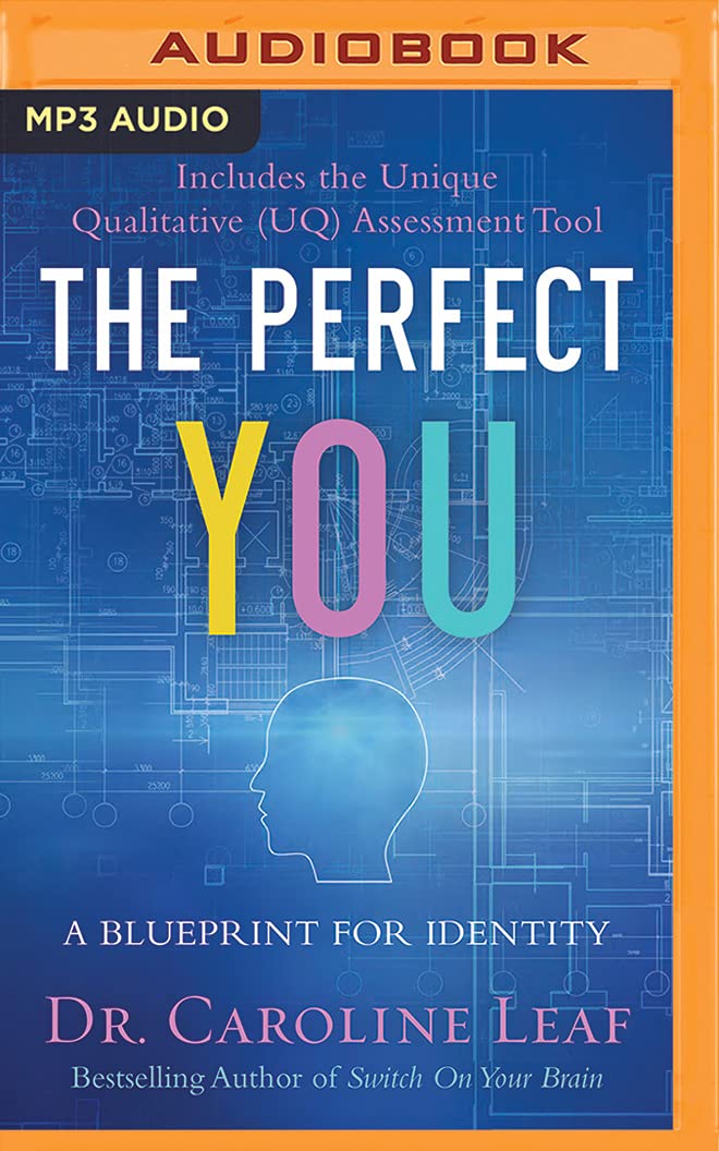 Buy The Perfect You Book Online at Low Prices in India | The Perfect ...