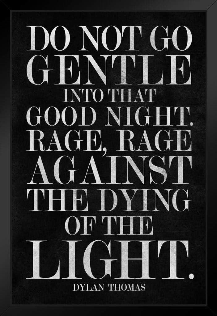 Amazon.com: Dylan Thomas Do Not Go Gentle Into That Good Night Famous ...