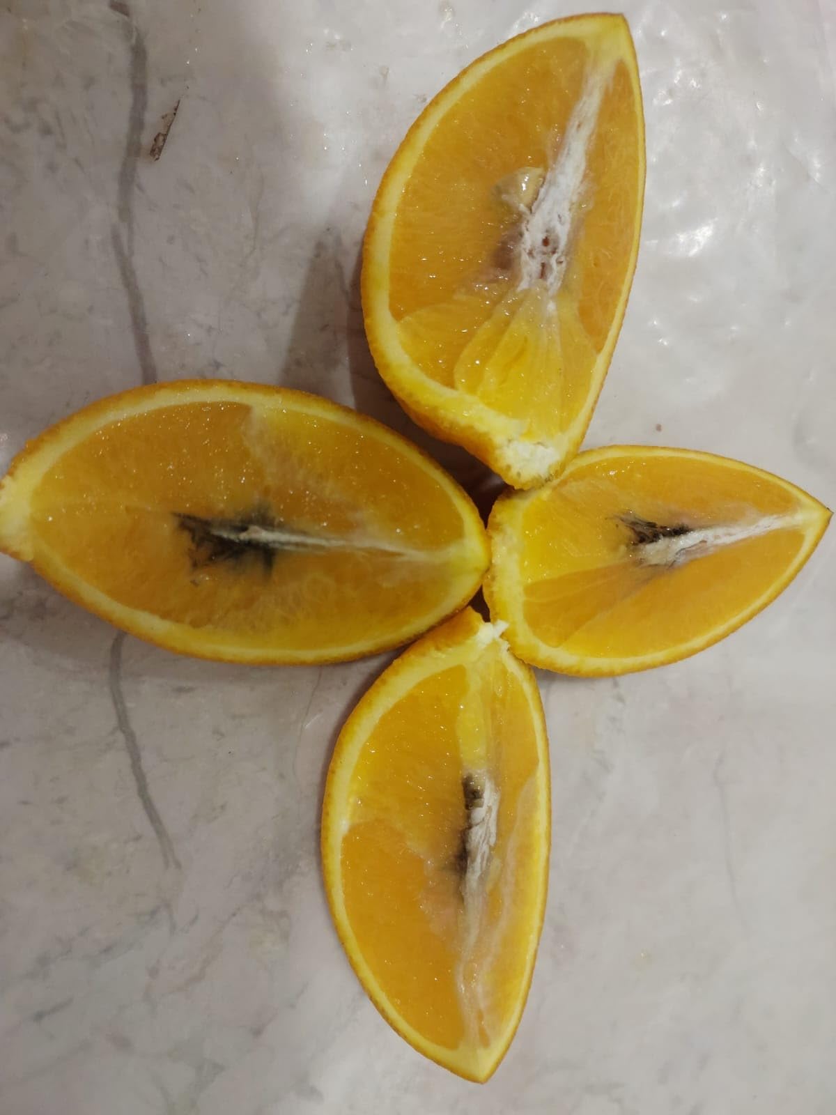Fresh Orange, Valencia, 4 Pcs : Amazon.in: Grocery & Gourmet Foods