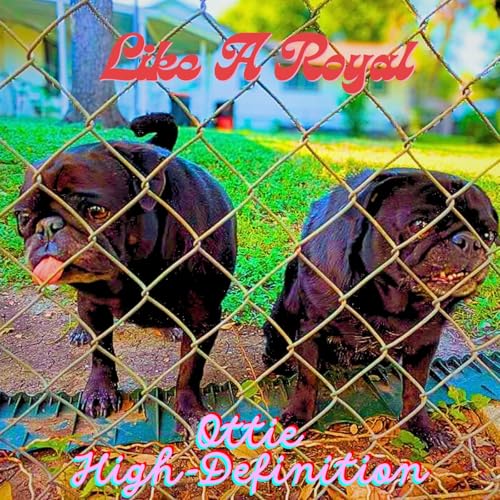 Play Like A Royal (A Capella) by Ottie High-Definition on Amazon Music ...