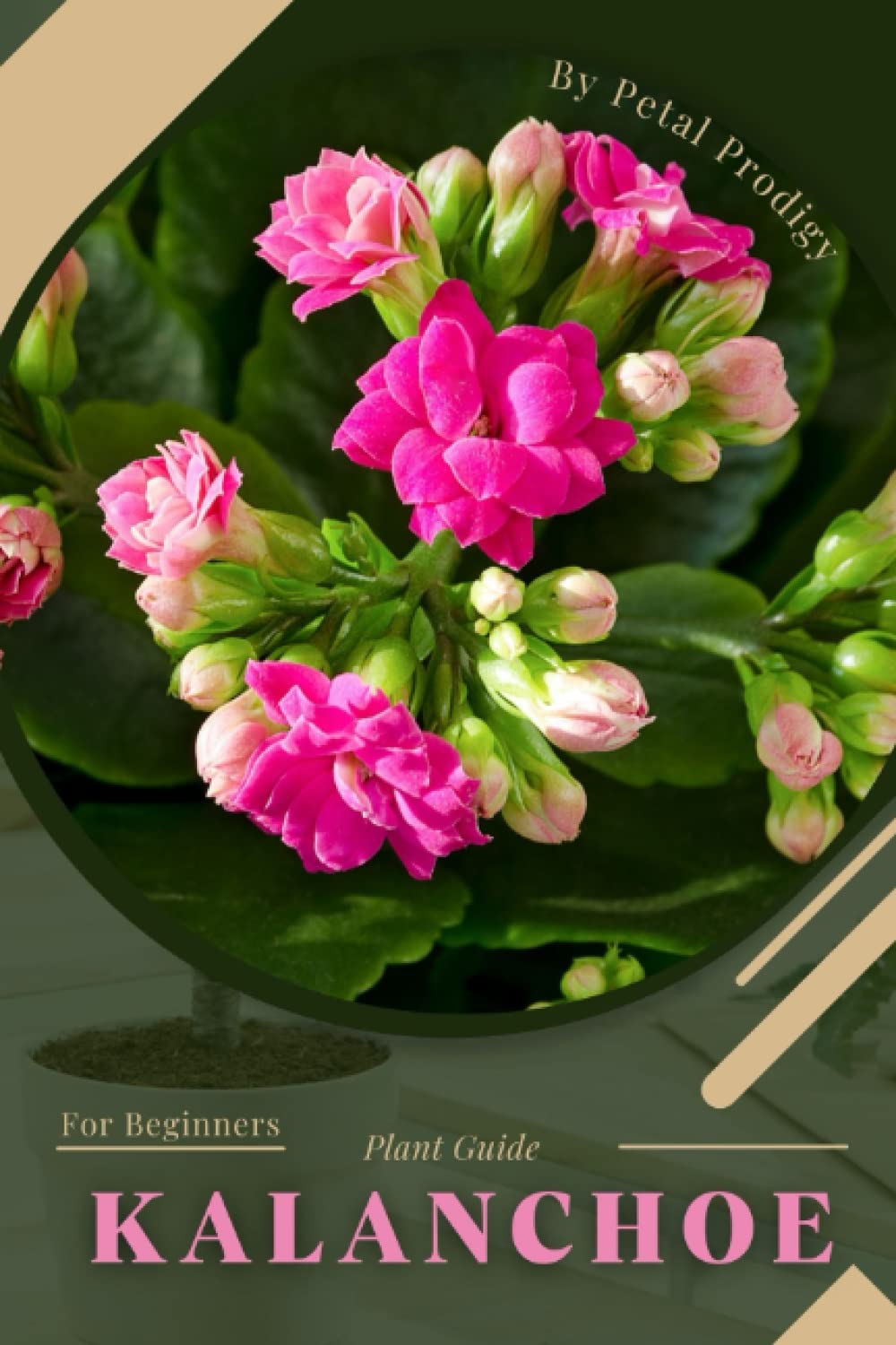 Kalanchoe: Prodigy Petal, Plant Guide: Prodigy, Petal: 9798386748449 ...