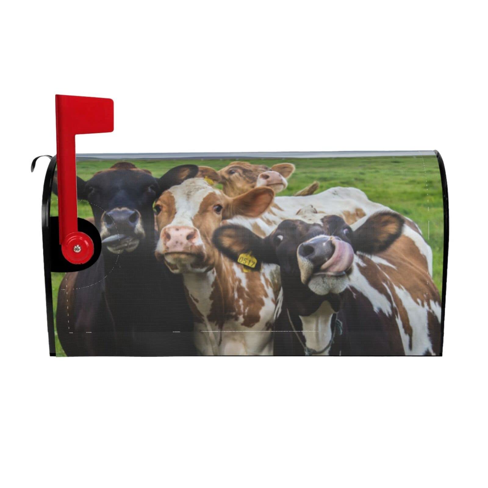 Amazon.com: Four Funny Cows Farm Mailbox Magnetic Post Mailbox Cover ...