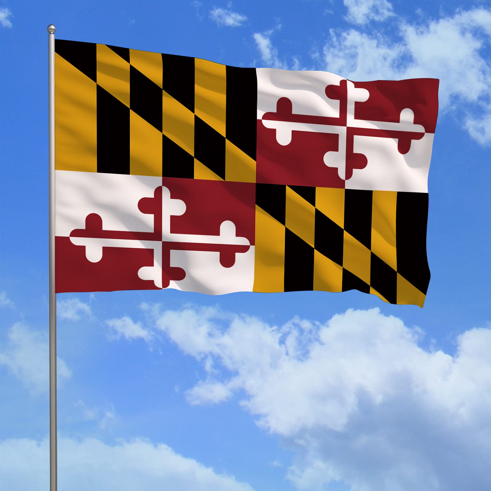 Maryland Flag Waving