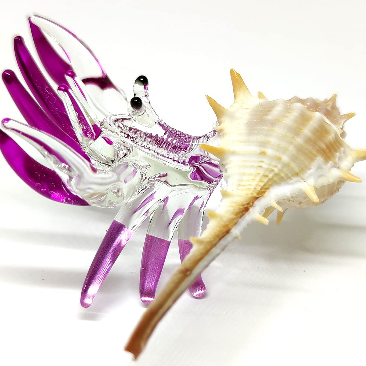 Hermit Crab Clear Shell