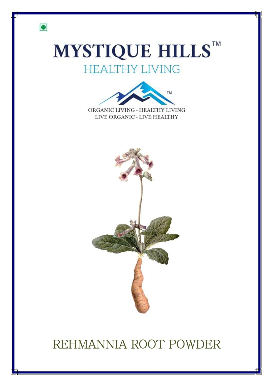 Mystique Hills Rehmannia Root Powder (100 g) : Amazon.in: Health ...