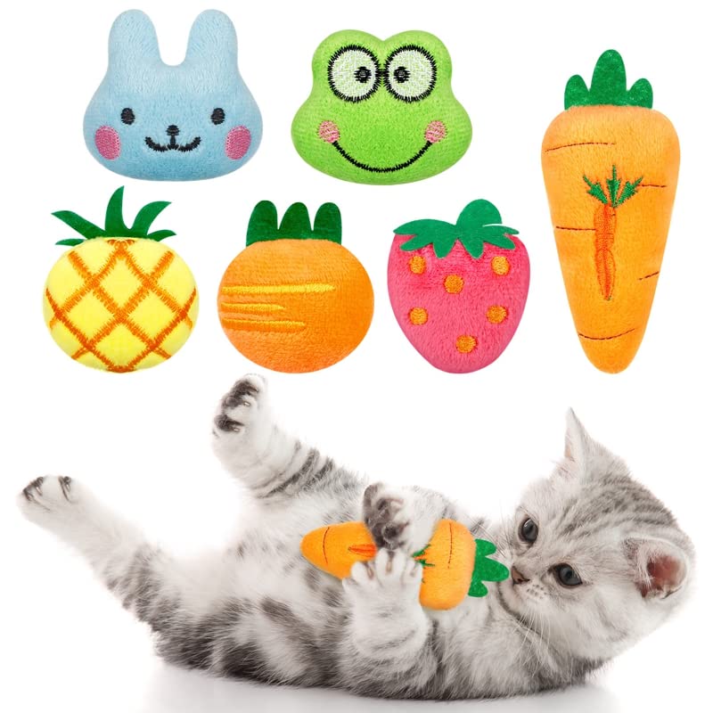 Zubehör für Katzen – Die 15 besten Produkte im Vergleich ...