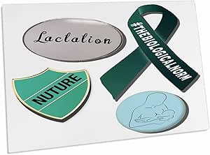 Amazon.com : 3dRose A Series of Breastfeeding pins to Support ...