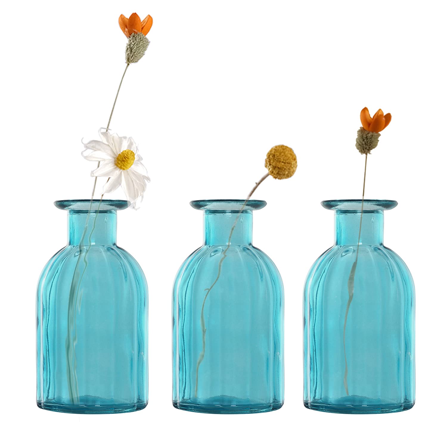WHJY Small Glass Vases,Blue Clear Glass Bud Vases Set of 3 Decorative ...