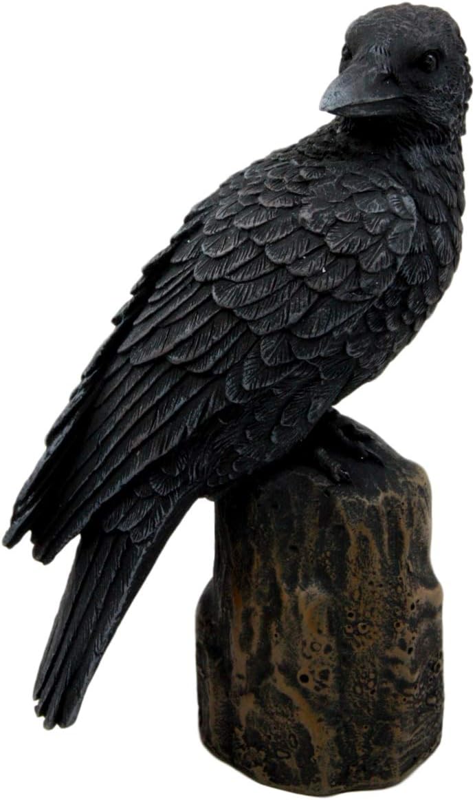 Amazon.com: Black Raven Bird on Stump Statue Cold Cast Resin Figurine ...