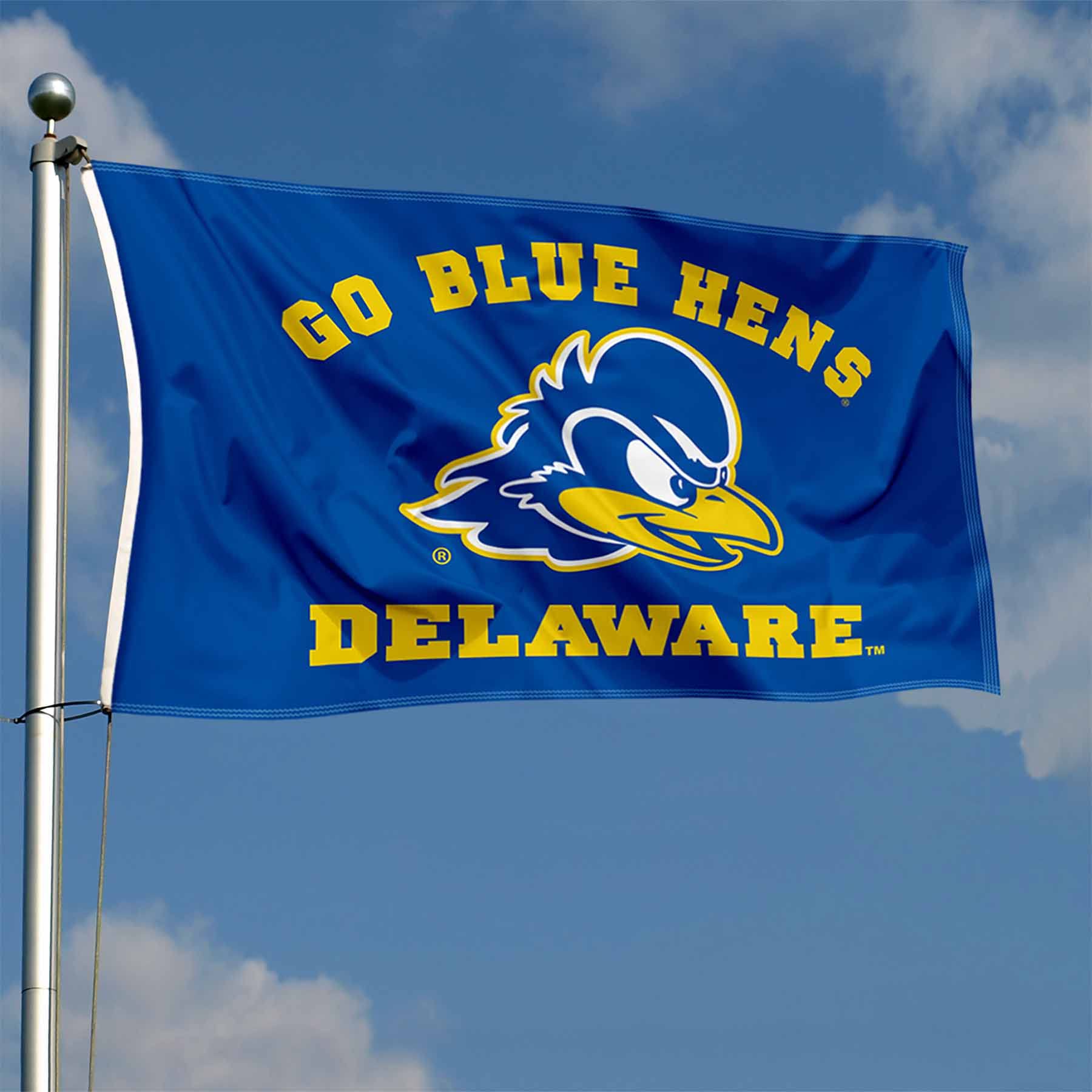 University Of Delaware Flag