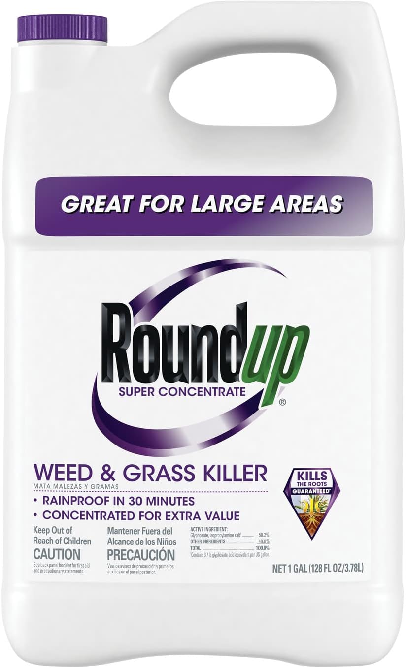 Amazon.com : Roundup Super Concentrate Weed & Grass Killer, 1 gal ...