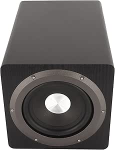 Amazon.com: SHYEKYO Subwoofer, Clear HiFi 100W High Power Output ...
