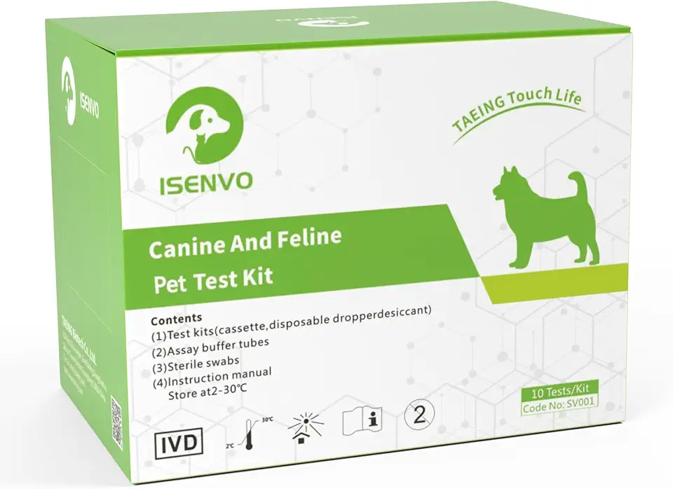 Giardia: A Cat-To-Human Transmissible Disease | PetShun