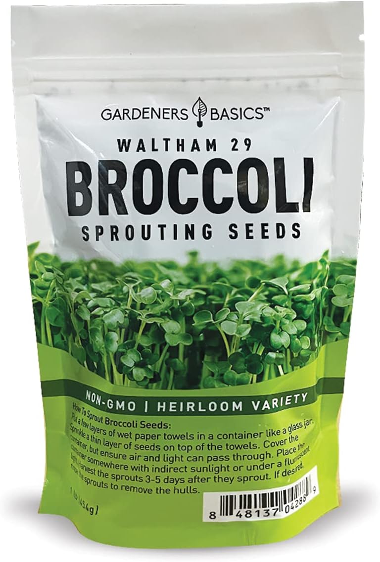 Amazon.com : Gardeners Basics, Broccoli Seeds for Sprouting Kit and ...