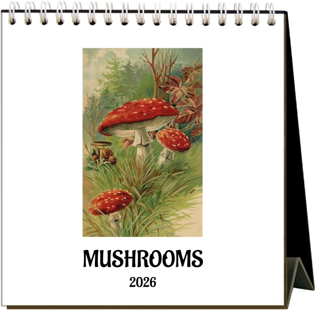 Calendrier de bureau 2026 Champignons : Amazon.ca: Fournitures pour le ...