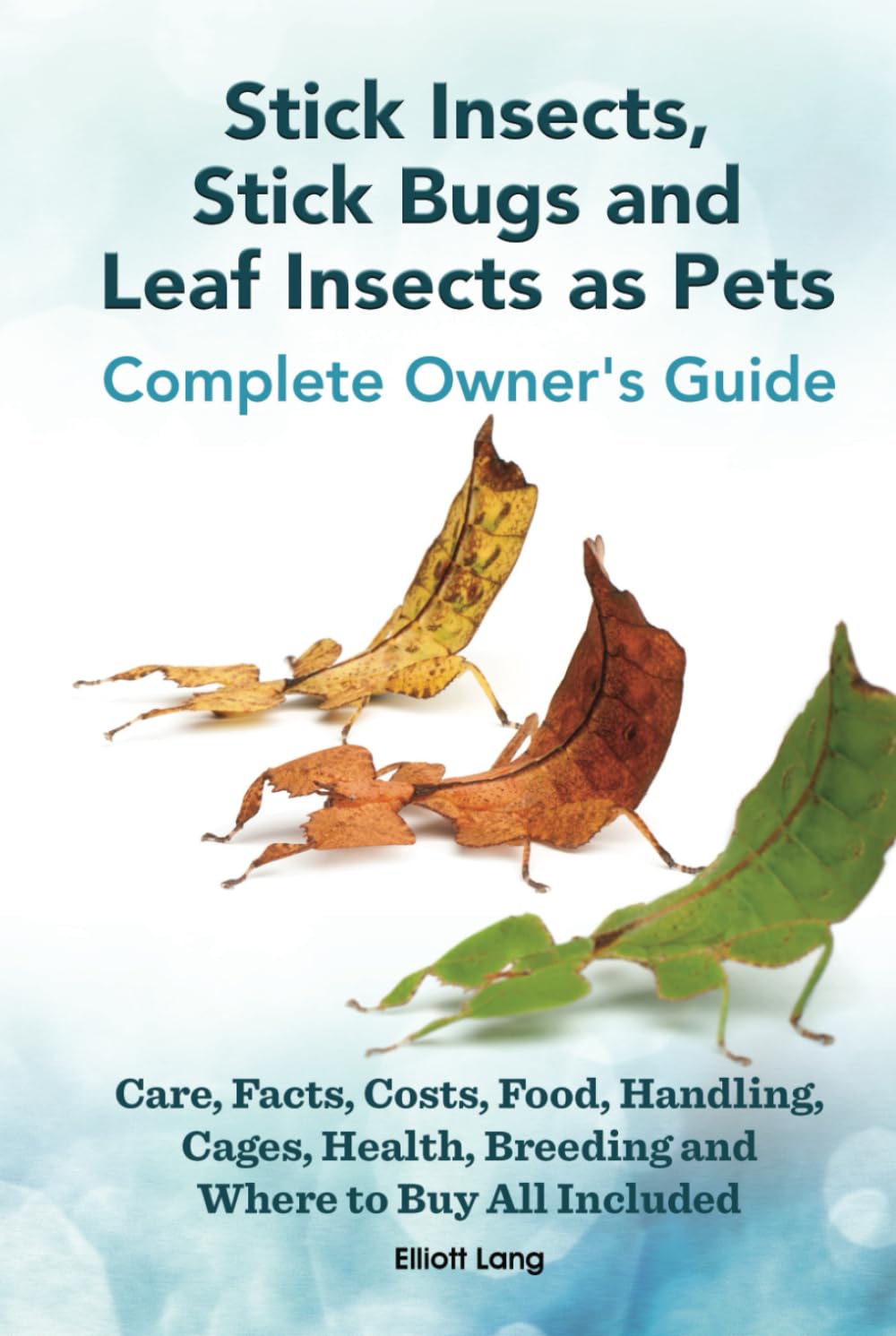 Amazon.com: Stick insects, stick bugs and leaf insects as pets ...