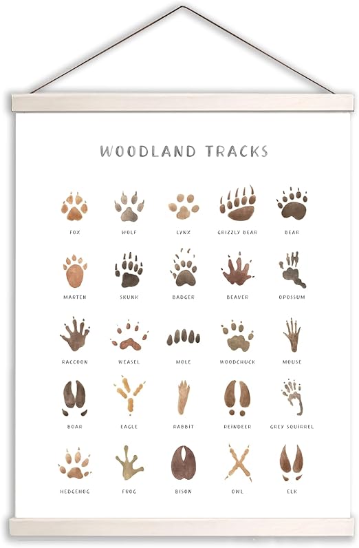 Amazon.com: Woodland Animal Tracks Hanging Poster, Woodland Nursery ...