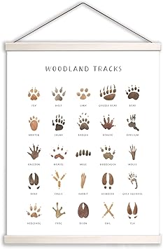 Amazon.com: AWISBI Woodland Animal Tracks Hanging Poster, Woodland ...