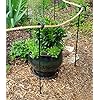 Amazon.com: 42" Inch, Single Rope Poles/Stakes for Creating a Rope ...