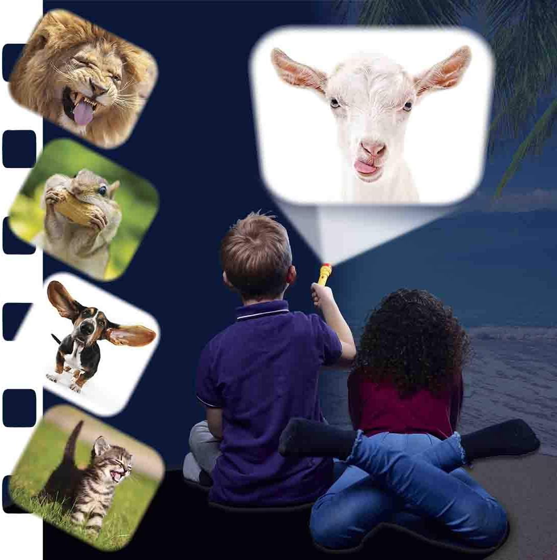 Brainstorm Toys Funny Animals Torch & Projector – TopToy