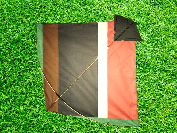 Zen IMPEX Paper Tournament Kite Cheel Kites |ADDHI | Paper Kite | Kites ...