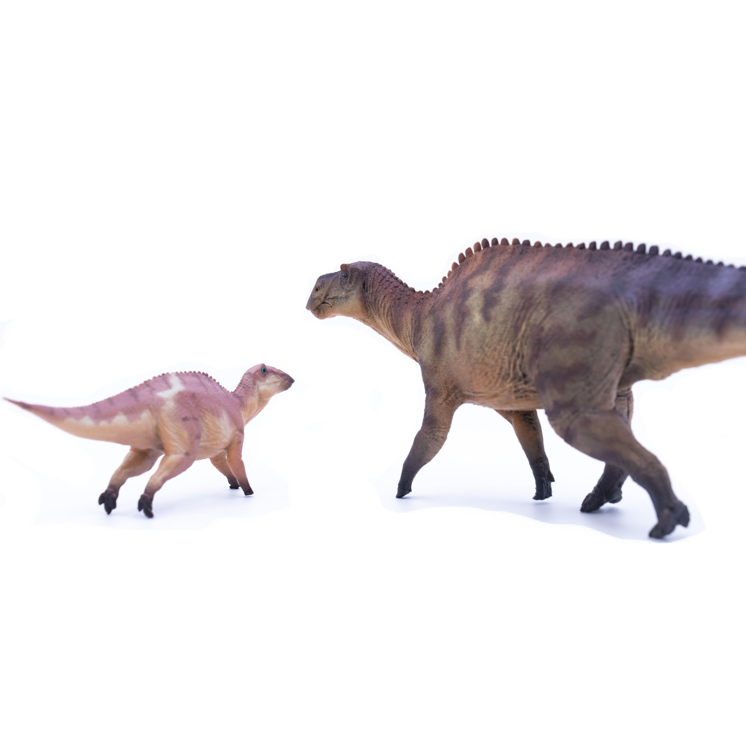 HAOLONGGOOD Maiasaura Model HAOLONGGOOD Maiasaura Dinosaur Model - 1:35 ...