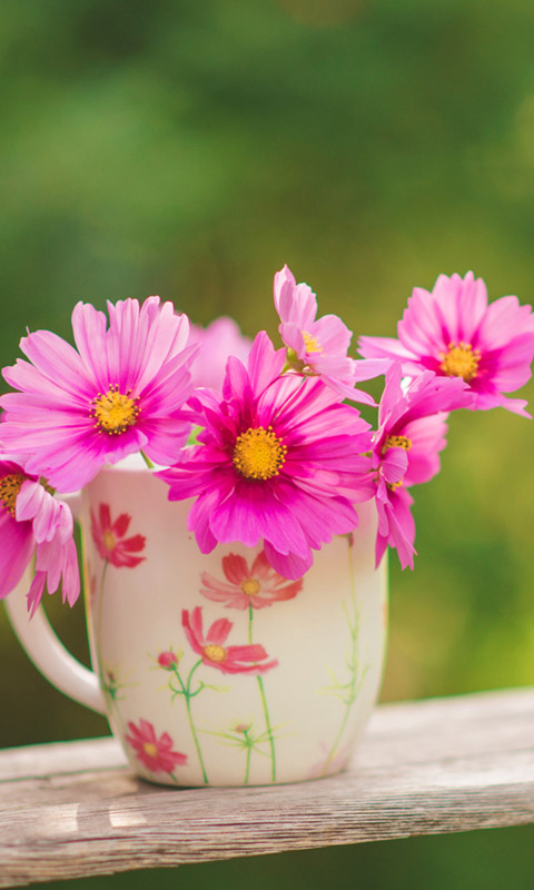 Background For Spring 4K / Backgrounds Spring HD - App on Amazon Appstore