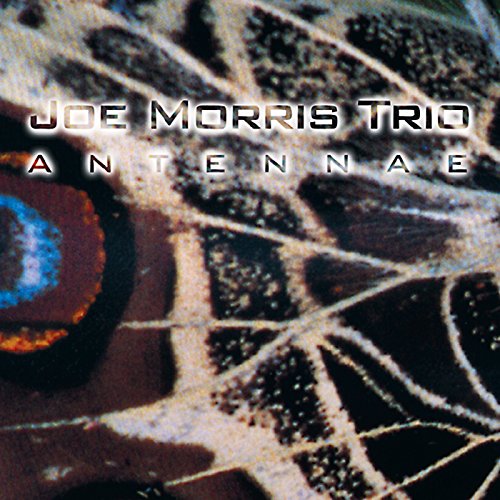 Amazon.com: Antennae : Joe Morris Trio: Digital Music