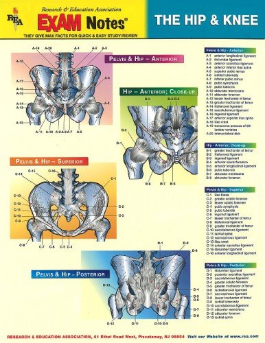 Exam Notes Hip and Knee St : Staff Of Rea: Amazon.com.au: Books