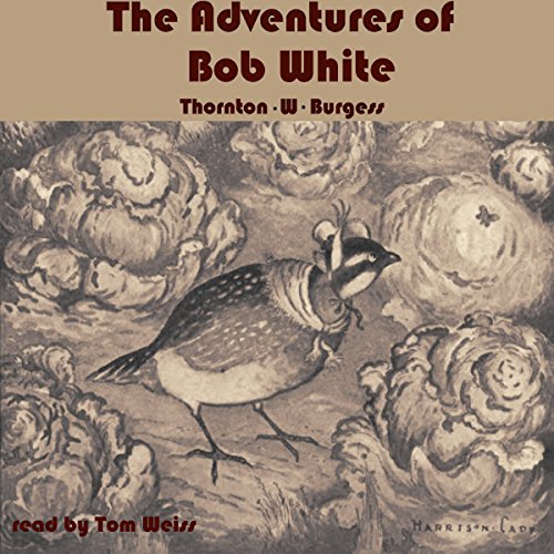 Amazon.com: The Adventures of Old Mr. Toad (Audible Audio Edition ...