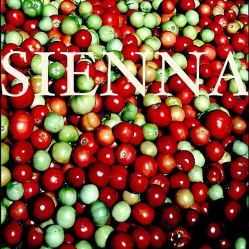 Play Sienna by Luke Owens on Amazon Music