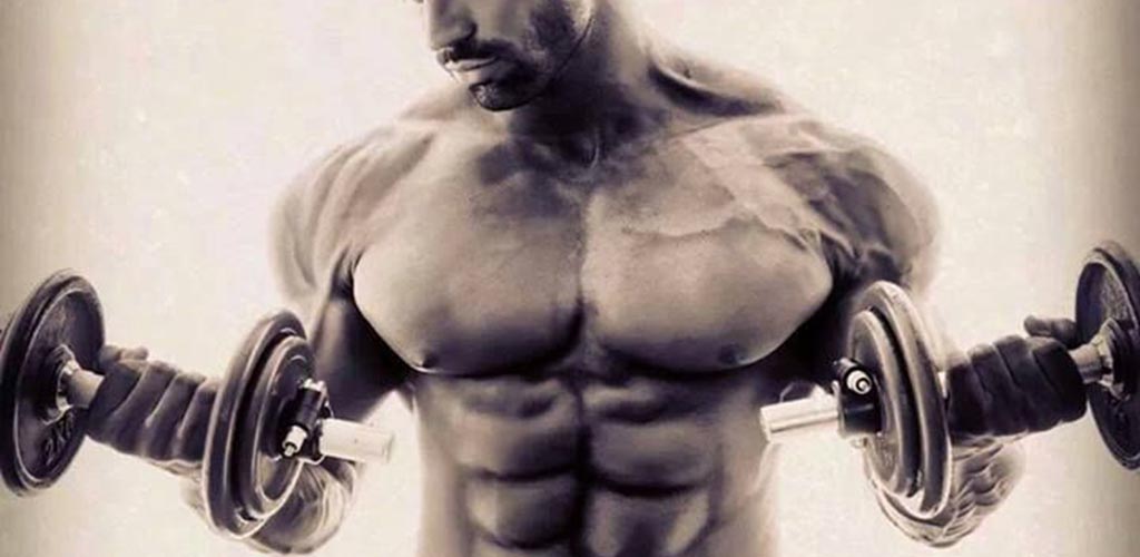 Dream Body Workout Plan:Amazon.com:Appstore for Android