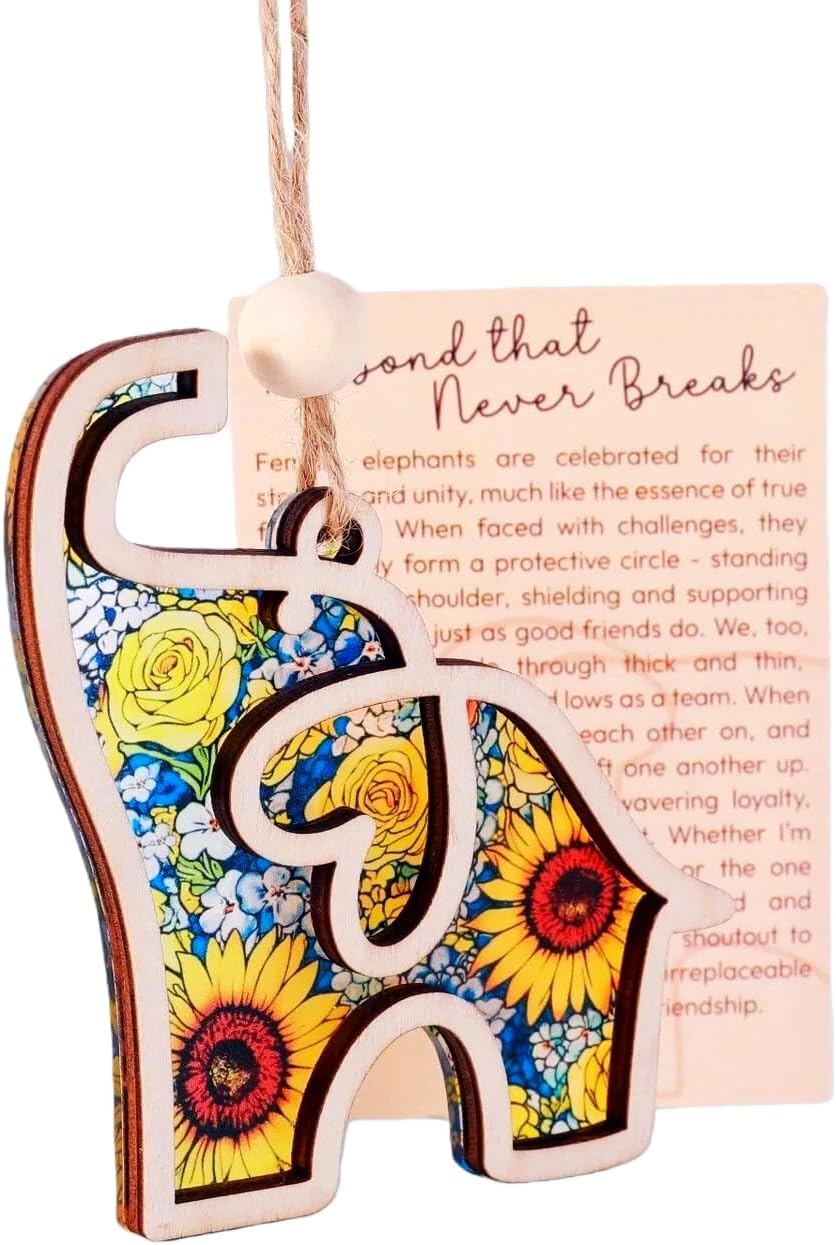 Amazon.com: Friendship Elephant Ornament with Story Card - Suncatcher ...