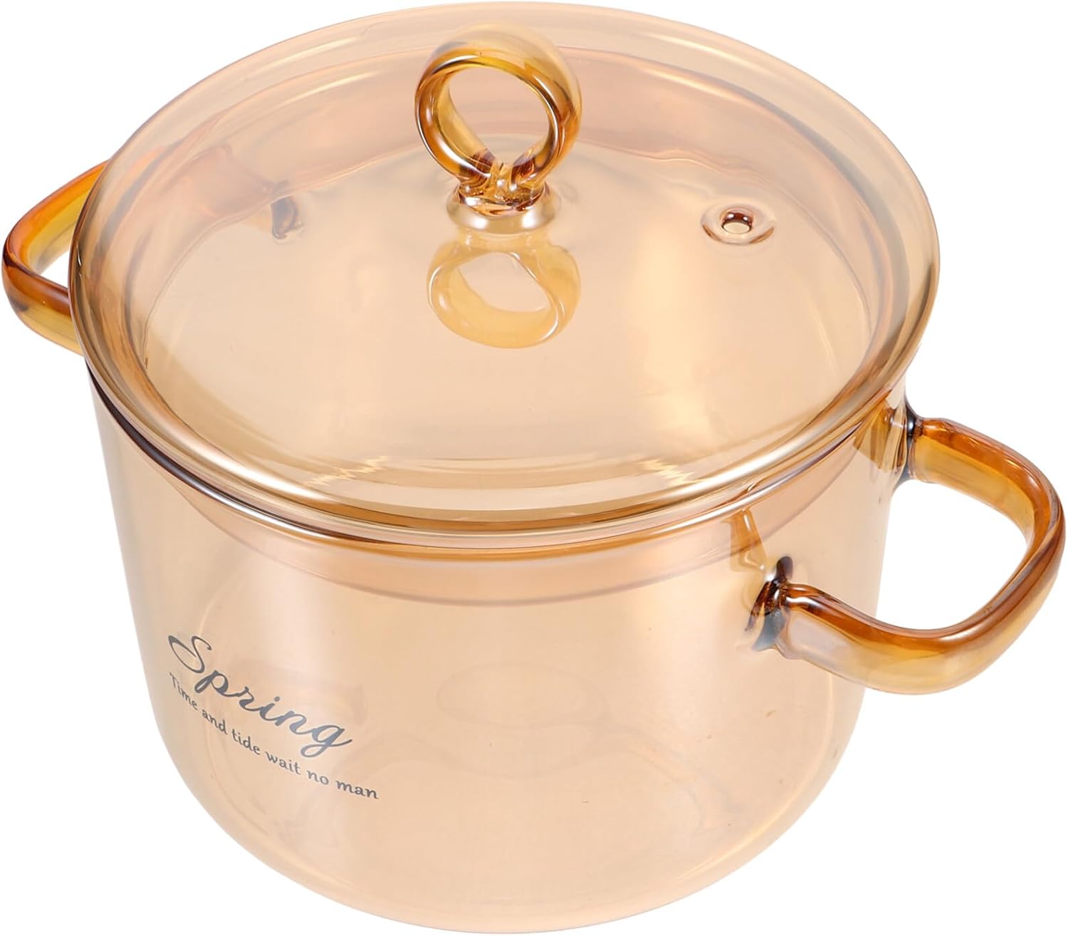Amazon.com: BESTOYARD Clear Glass Cooking Pot Saucepan - Glass Stew Pot ...