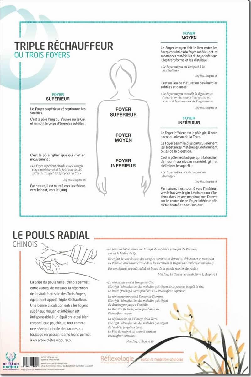DL1 POSTER A3 TRIPLE RECHAUFFEUR ET POULS RADIAL : Amazon.fr: Cuisine ...