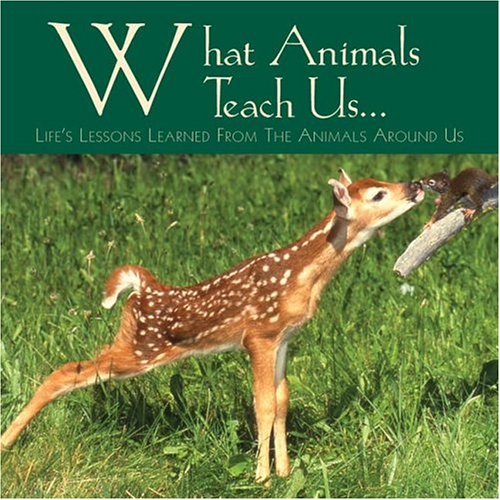 What Animals Teach Us: Life's Lessons Learned From the Animals Around ...