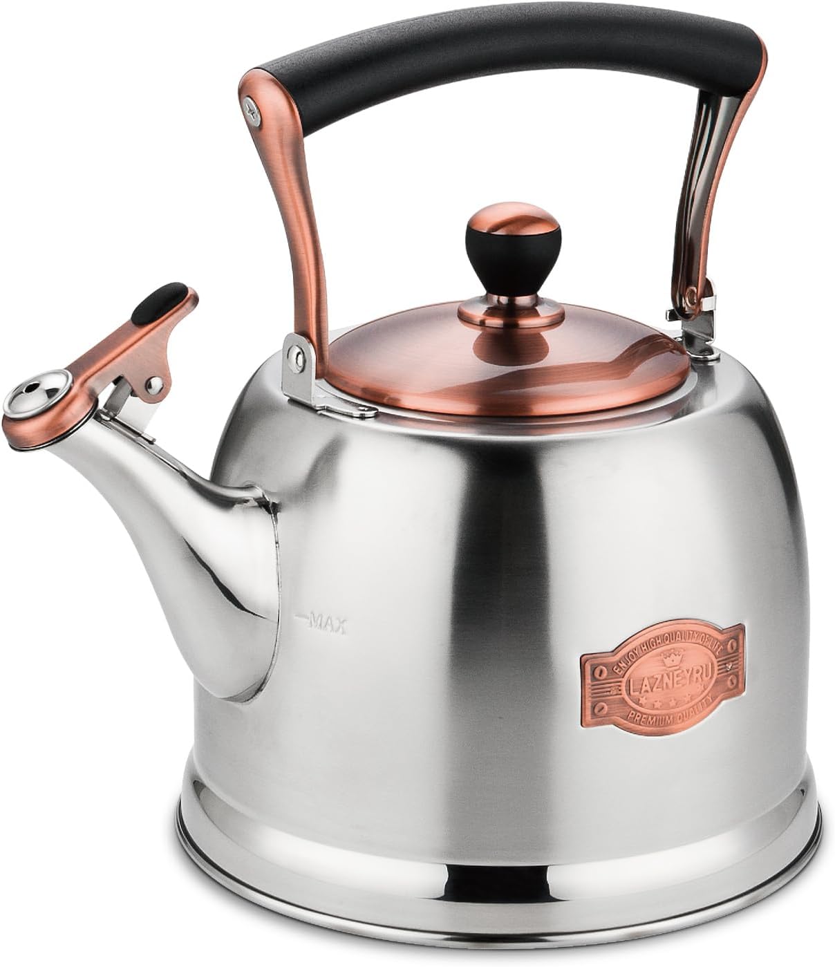 Amazon.com: Tea Kettle Stainless Steel Teapot, Stainless Steel ...