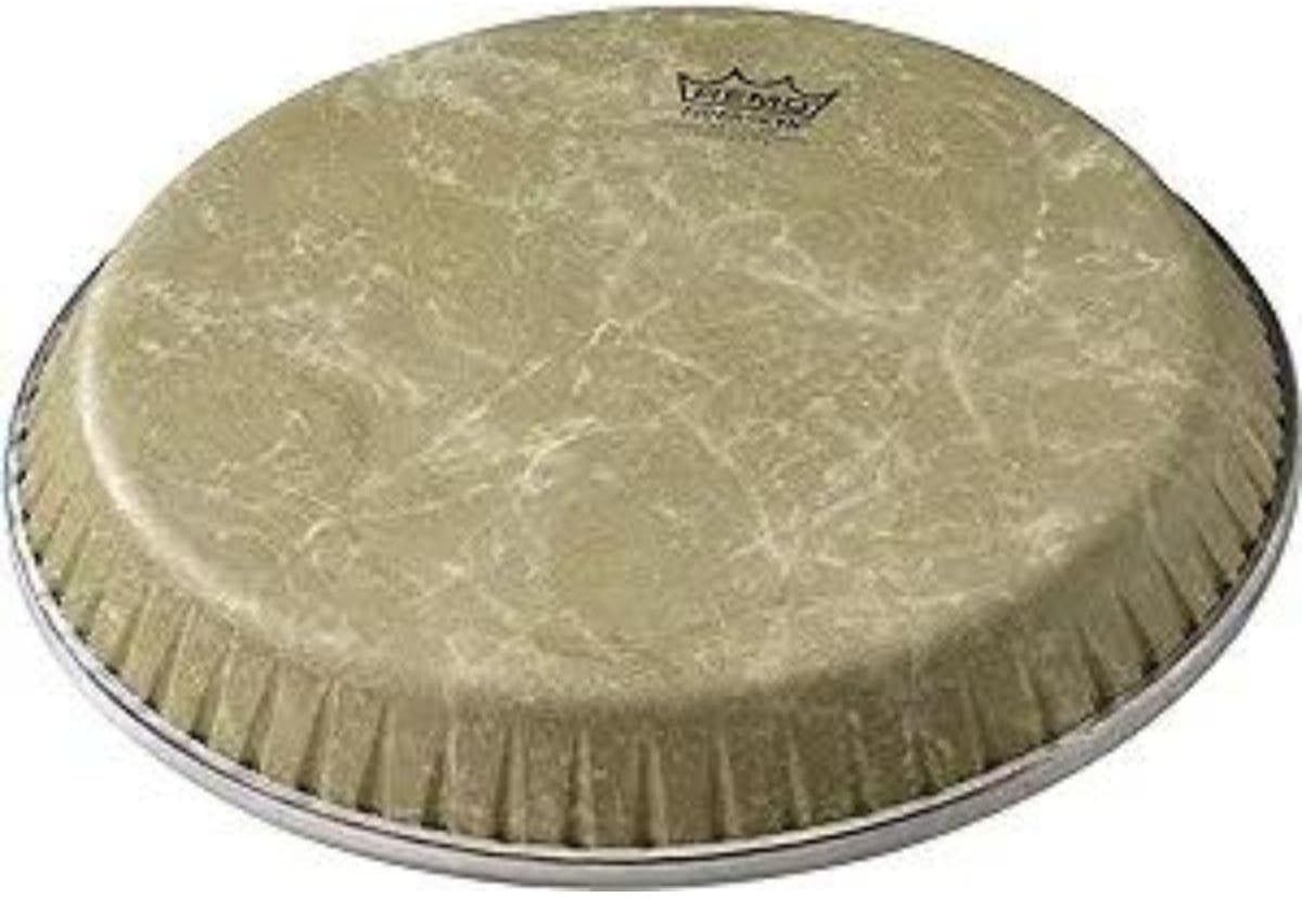 Amazon.com: Remo Drum Set (M5-1250-FD) : Musical Instruments