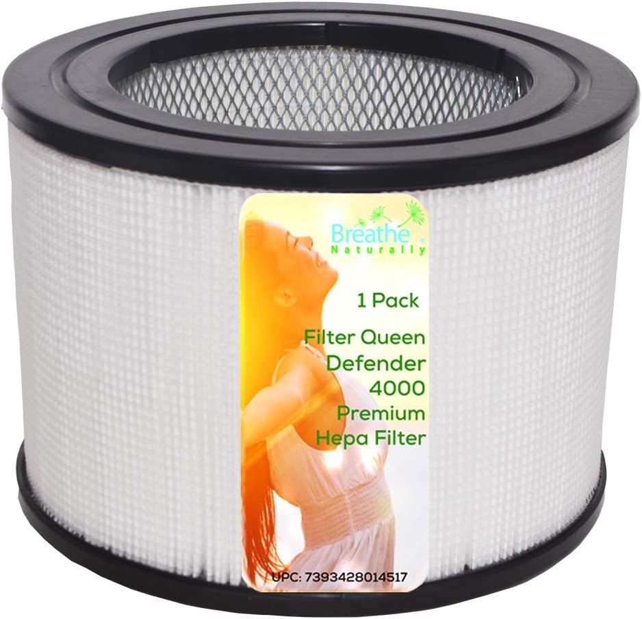 Amazon.com: Breathe Naturally Replacement Hepa Filter for Filter Queen ...