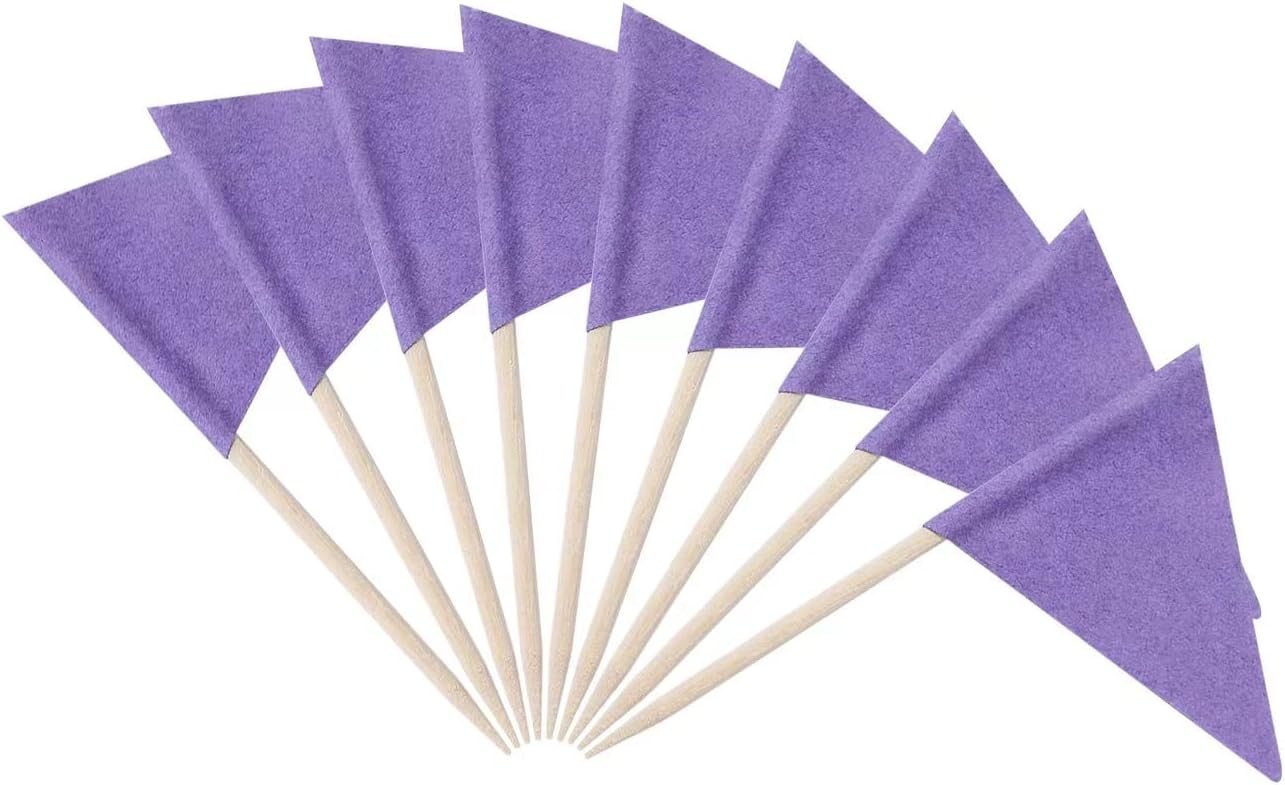 Amazon.com : 100 Pcs Solid Purple Toothpick Flags Small Mini Plain ...