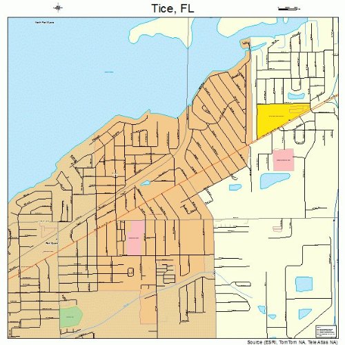 Amazon.com: Large Street & Road Map of Tice, Florida FL - Printed ...