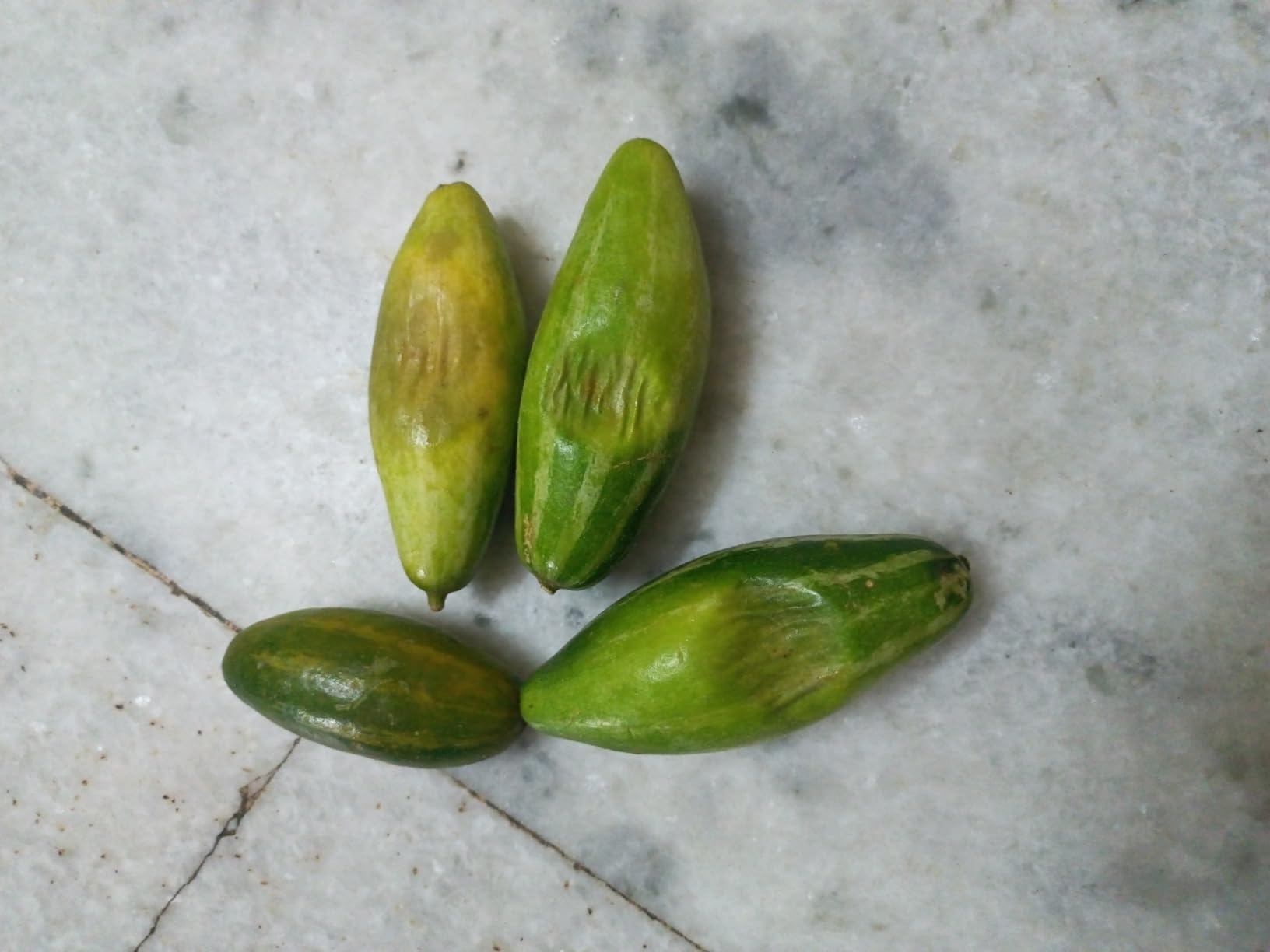 Fresh Parwal, 250 g : Amazon.in: Grocery & Gourmet Foods