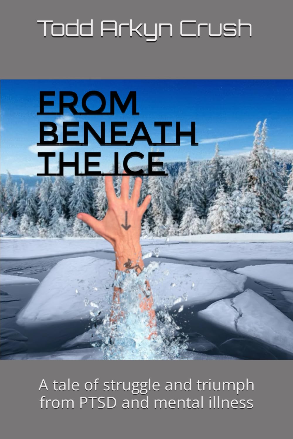 From Beneath the Ice: A tale of struggle and triumph with PTSD and mental illness: Crush, Todd ...