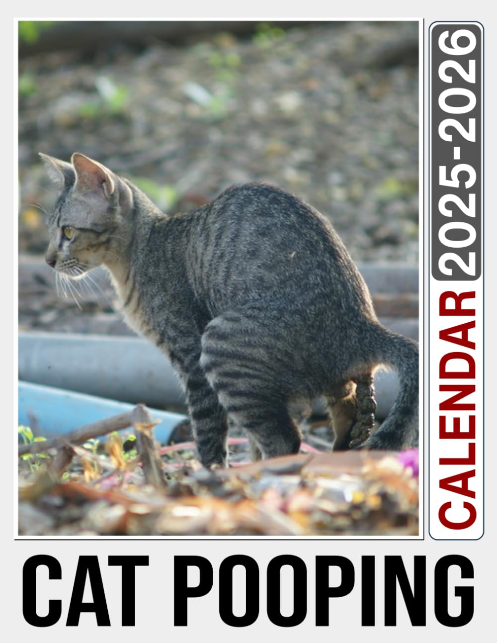 Amazon.com: Cat Pooping Calendar 2025 - 2026: 24-Month Monthly Gift ...