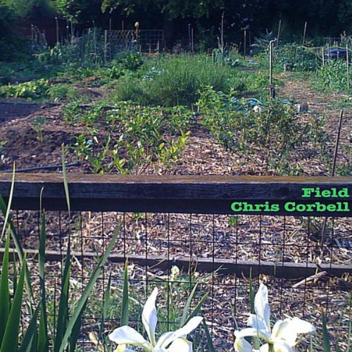 Play Field by Chris Corbell on Amazon Music
